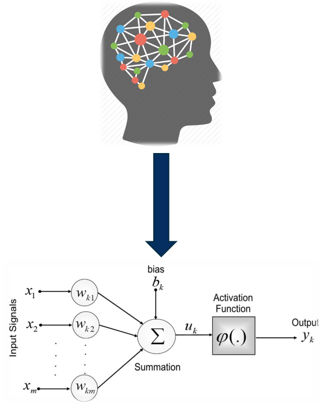 Neuron Cell Implementation on FPGA - Diglab