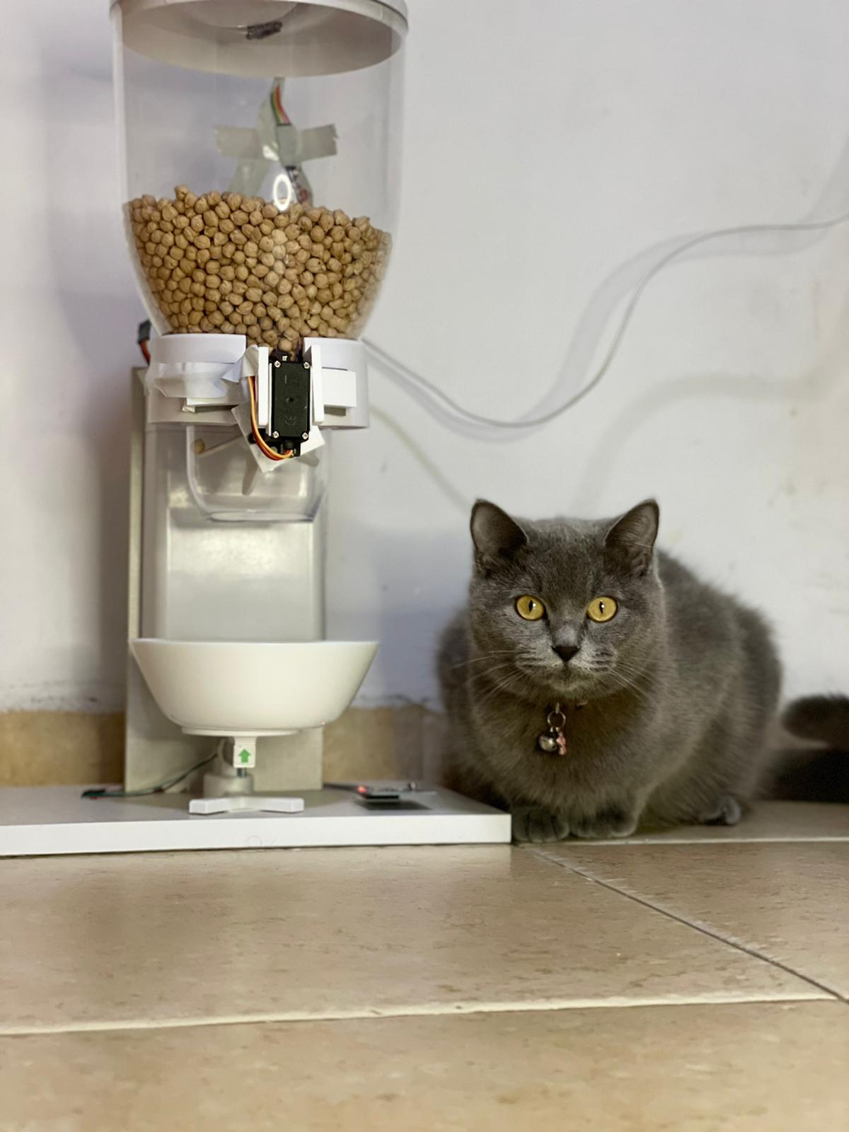 Feed my cat - hardware - Diglab