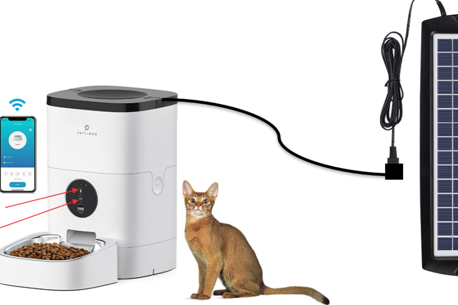 Feed community cats infrastructure - Diglab