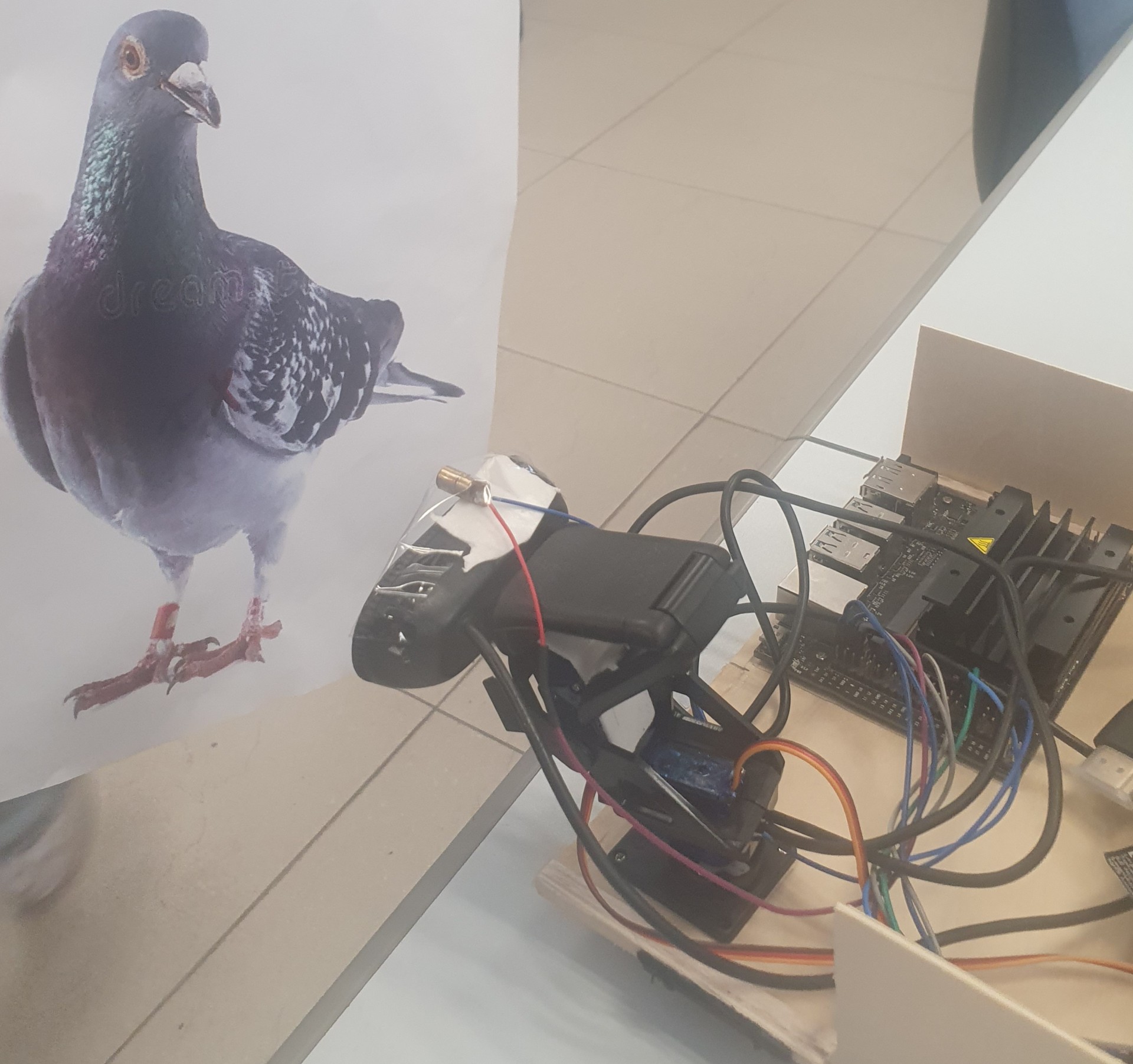 Dove chaser AI - Diglab